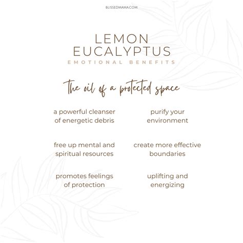 Lemon Eucalyptus Essential Oil Benefits Uses Sourcing With Doterra