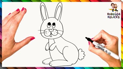 Cómo Dibujar Un Conejo Paso A Paso Conejo Dibujo