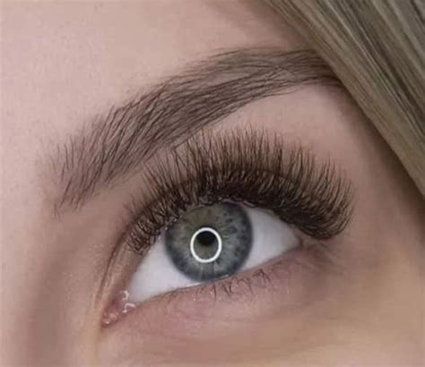 Catalogo Extensiones De Pesta As Inlash Cejas Y Pesta As