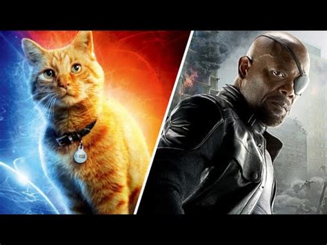 Como Se Llama El Gato De Capitana Marvel Recursos Did Cticos Gratis