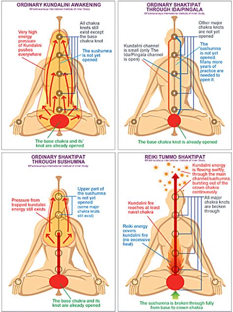 14 Kundalini Awakening Benefits And Signs Mindfulnessactivities