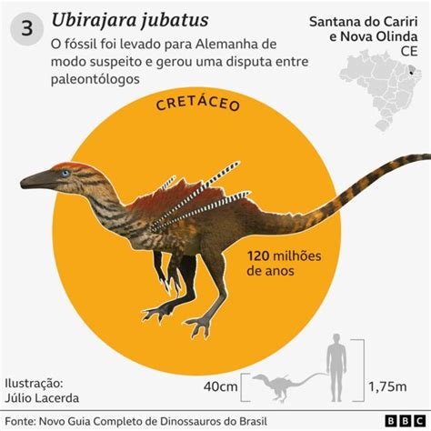 As Fascinantes Hist Rias De Dinossauros Encontrados No Brasil News