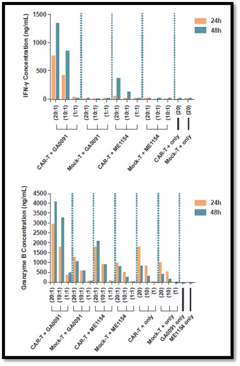 Using Tumor Organoids And 3D Ex Vivo Microtumors For Immuno Oncology