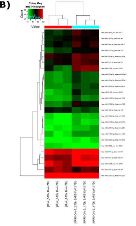 Heat Map And Hierarchical Clustering Of Differentially Expressed