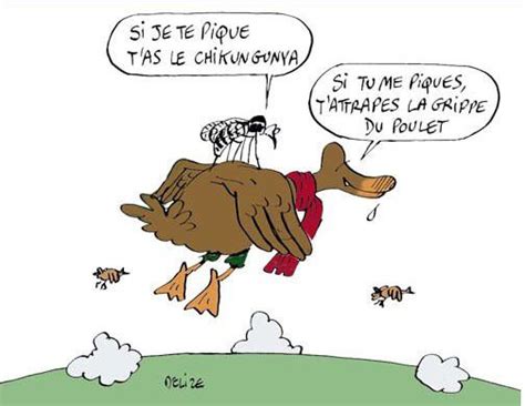 Image Drole Grippe Humour Dlhumourd