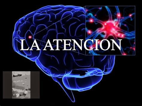 La Psicología Y sus Procesos Psicologicos La Atención