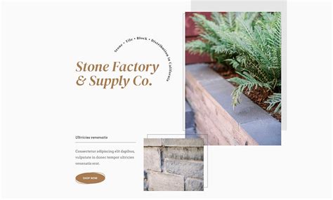 Using Divi Box Shadow Options Elegant Themes Documentation