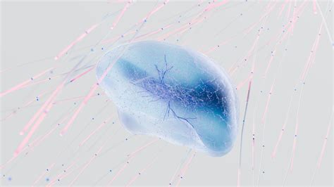 Neuralink Busca Parceria Para Testes De Chips Cerebrais Em Humanos