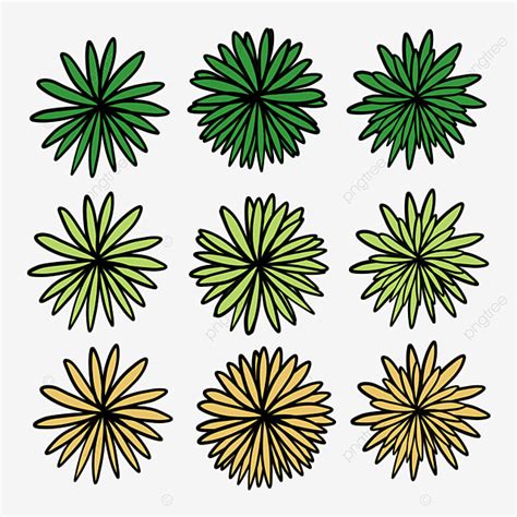 Tree Top View Clipart Hd PNG 9 Top View Trees Sketch 01 Bigtree Top