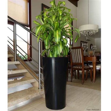 Vasos Para Plantas As Ideias Mais Lindas Para Usar E Decorar