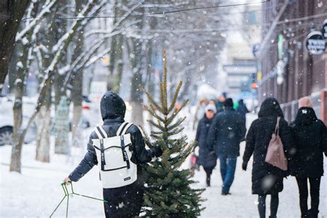 Cum va fi vremea de Crăciun ANM a publicat prognoza