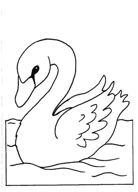 Dibujos Para Imprimir Y Colorear Cisne Para Colorear