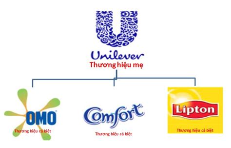Chia sẻ 94 về mô hình unilever mới nhất coedo vn
