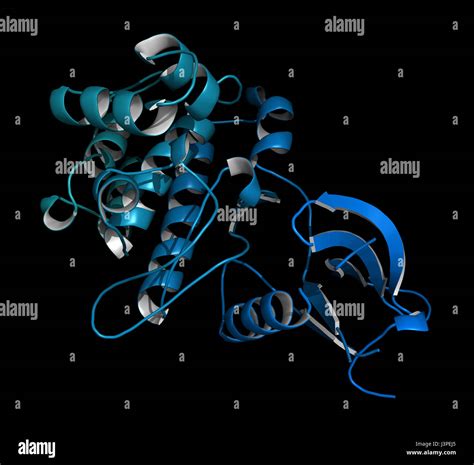 Janus Kinase 1 Protein Part Of JAK STAT Signalling Pathway And Drug