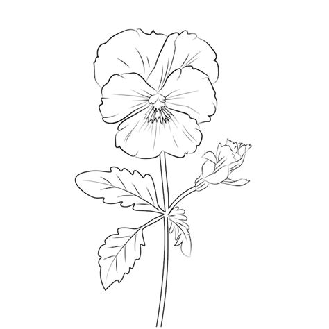 Eine schwarz weiß zeichnung einer blume mit stiel und blättern