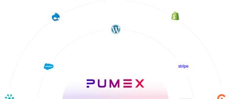 Pumex Computing Software Development Technology Integrations System