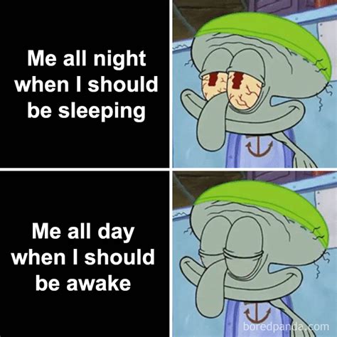 Of The Funniest Sleeping Memes Ever Bored Panda
