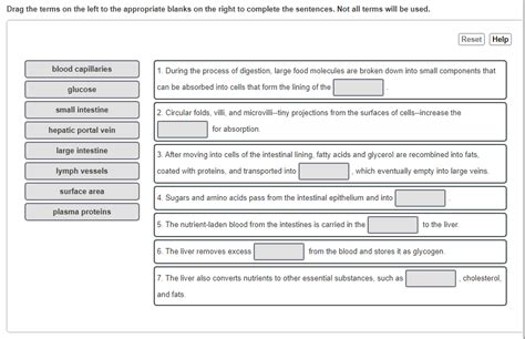Drag The Terms On The Left To The Appropriate Blanks