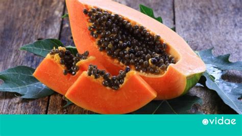 Papaya Propiedades Y Beneficios Vidae