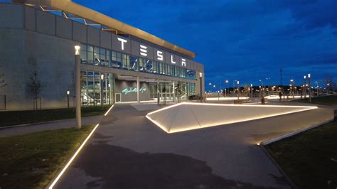 Tesla Protesters Building Tree Houses Near Giga Berlin