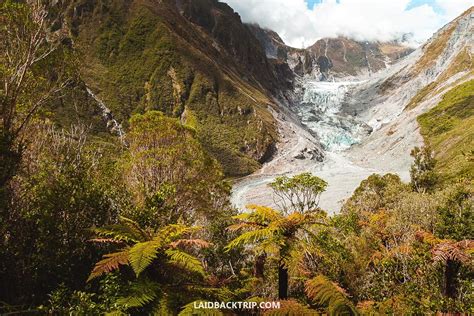 Fox Glacier Travel Guide LAIDBACK TRIP