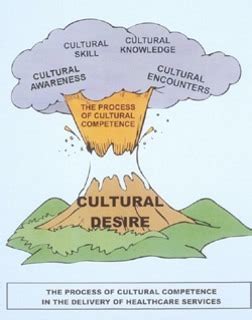 Cultural Diversity Midterm Flashcards Quizlet