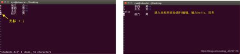 【ubuntu】常用命令使用 ubuntu编辑文件命令 csdn博客
