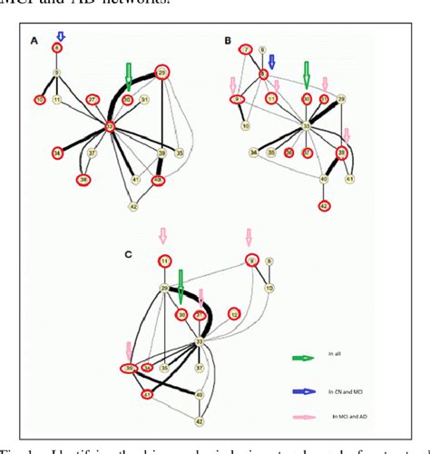 [pdf] structural target controllability of brain networks in dementia semantic scholar