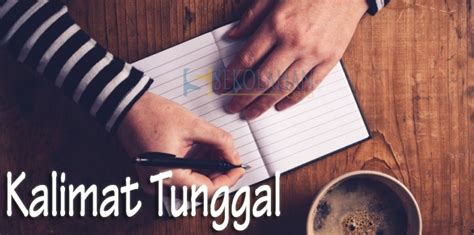 Pengertian Kalimat Tunggal Ciri Ciri Jenis Dan Contohnya Paling Lengkap