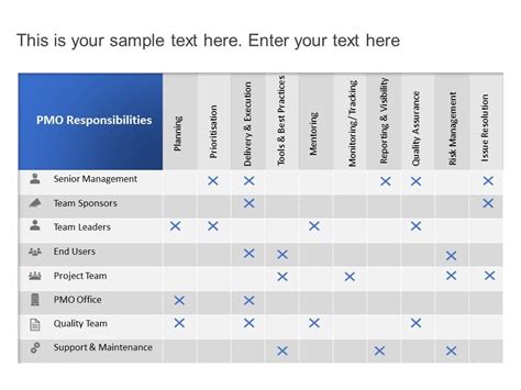 Animated PMO Roles And Responsibilities PowerPoint Template