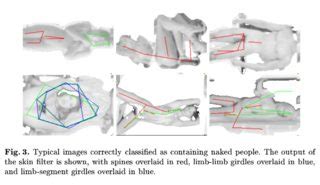 Classification How Successfully Can Convnets Detect Nsfw Images