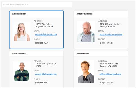 Data Grid WinForms Controls DevExpress Documentation