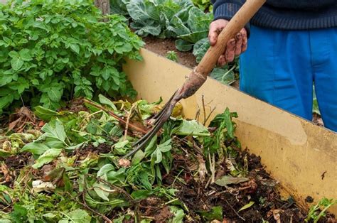 Que Peut On Mettre Ou Ne Pas Mettre Dans Son Compost Et Comment L