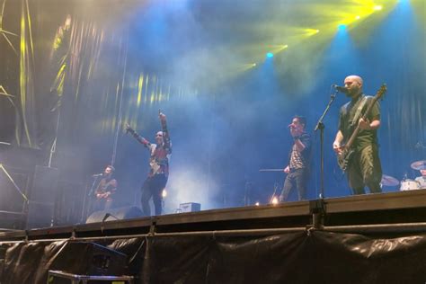 San Pedro 2024 La guía definitiva de los conciertos y las siete