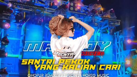 Dj Santri Pekok Bass Nguk Nguk Yang Kalian Cari Ghofur Remixer