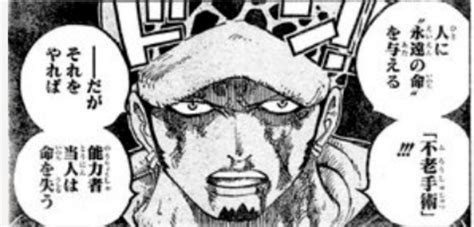 ワンピースドフラミンゴが言ってたマリージョアの国宝 あにまんch