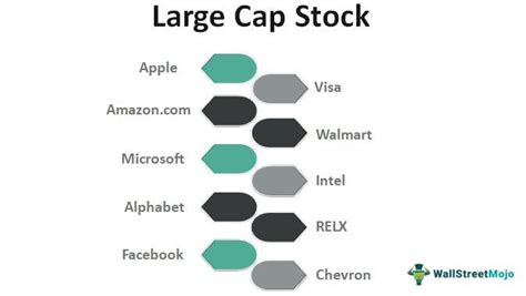 Large Cap Stock What Is It Vs Small Cap Stock Examples