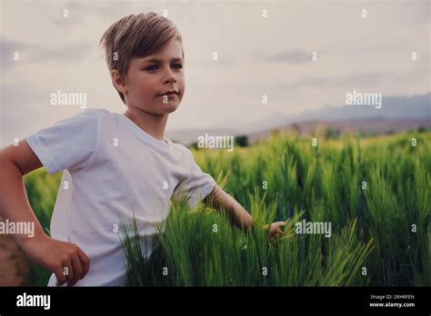 Getreideanlage Fotos und Bildmaterial in hoher Auflösung Alamy