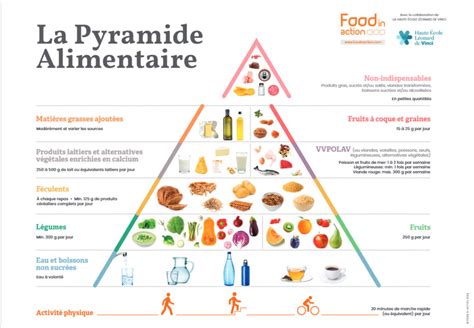 Les 3 types de régimes différents