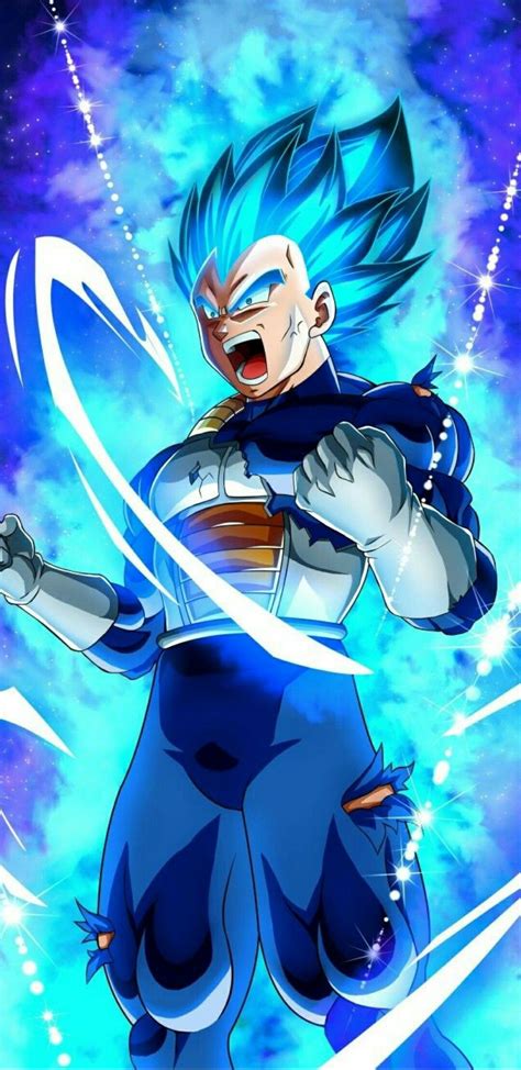 Vegeta God Of Destruction Wallpapers Wallpaper Cave