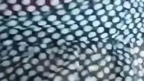 Kocasını Aldatan Kadınlar Gizli Kamerada Kiz pornosu ru