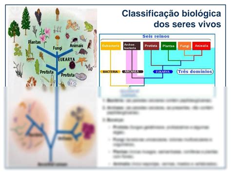 SOLUTION Taxonomia Classifica O Biol Gica Dos Seres Vivos Studypool