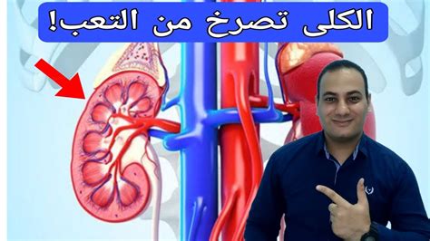أخطر 10 عادات يومية قاتلة تدمر الكلى بلا رحمة Bad Daily Habits Destroy