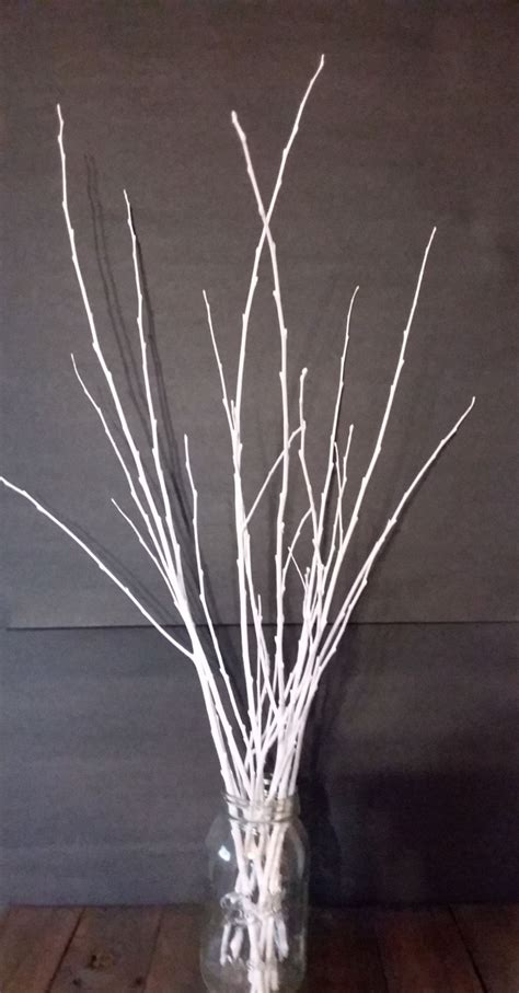 Vase For Birch Branches At Juanita Myers Blog