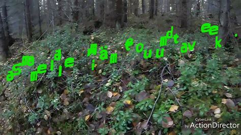 Jos metsään haluat mennä nyt niin YouTube