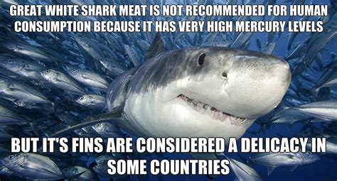 21 Random Facts You Probably Didn T Know Funny Gallery EBaum S World