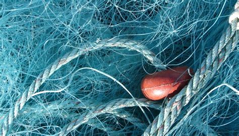 Como Hacer Una Red De Pesca Para Decorar Pesca Información