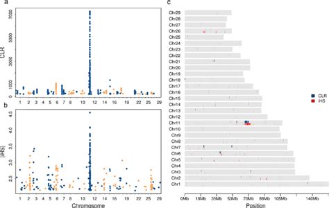 Genome Wide Distribution Of Top Signatures Of Selection From Clr