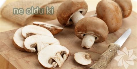 Mantarın sağlığa faydaları nelerdir NE OLDU Kİ