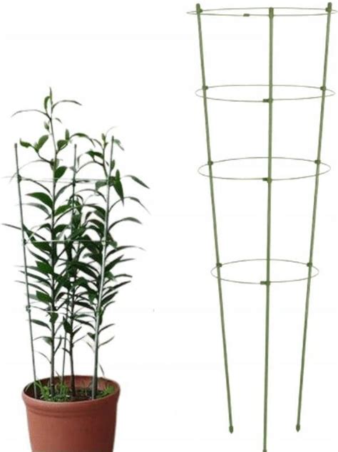 Podpora Pierścieniowa Roślin Kwiatów Podpórka 90cm Ceny i opinie